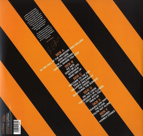 Detours (live) Vinyl by Saga | Vinyl
