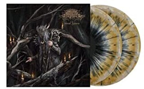 Ritual Hymns Vinyl by Worm Shepherd | Vinyl