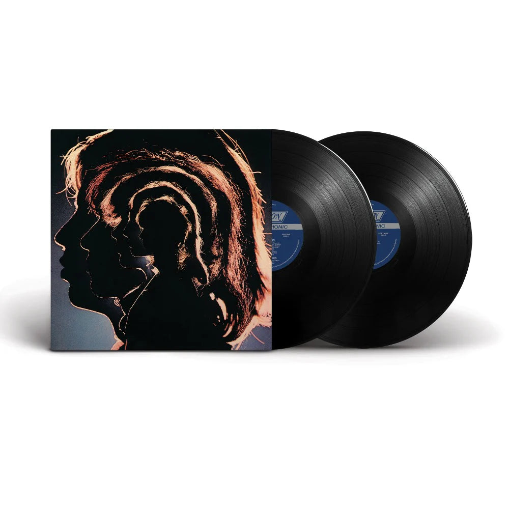 Hot Rocks 1964-1971 [2LP] Vinyl - The Rolling Stones Vinyl Records | Vinyl