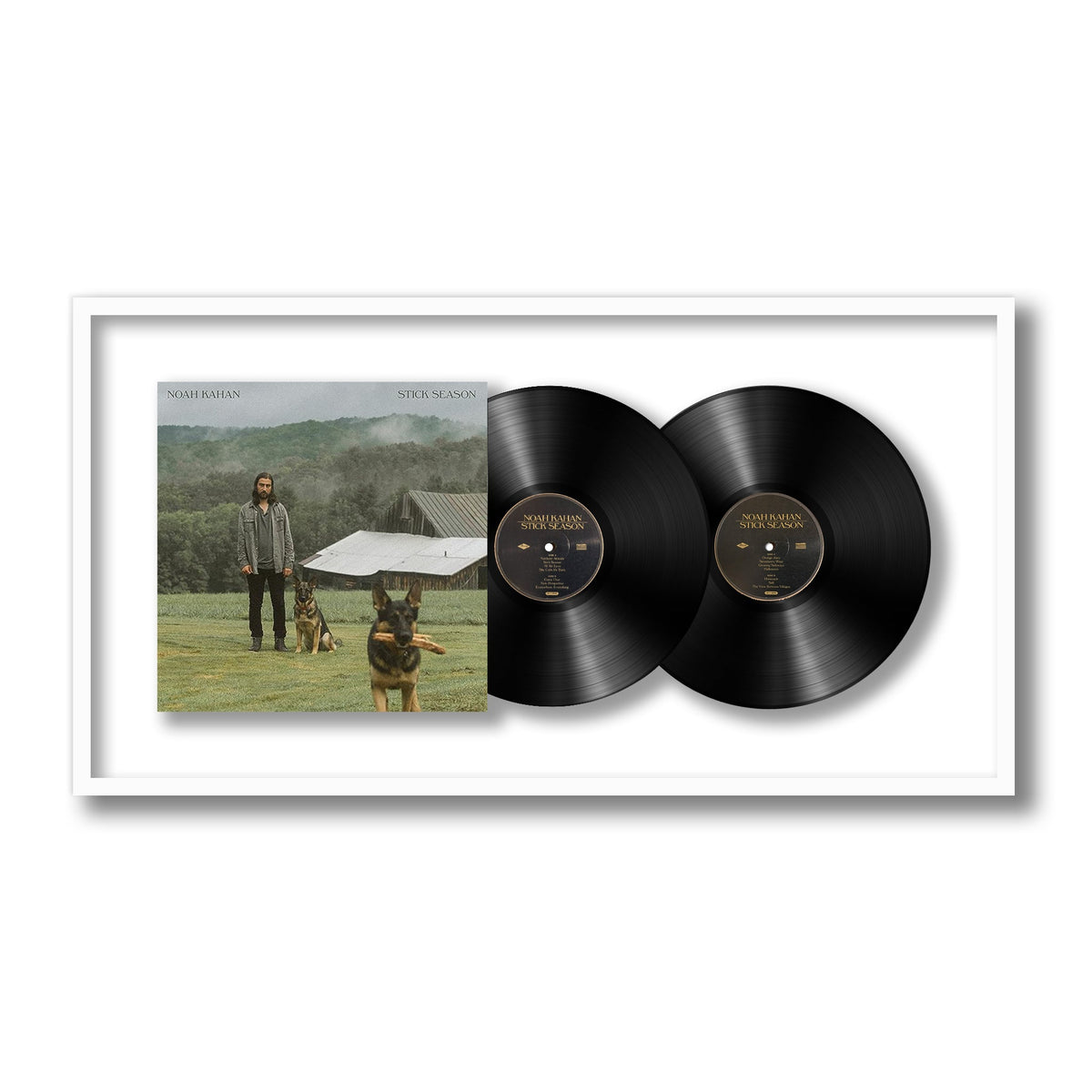 Stick Season Vinyl | Vinyl